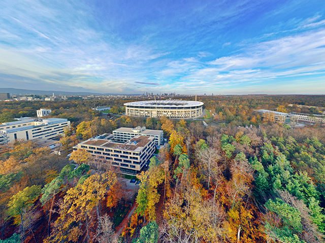 Der Deutsche Bank Park wird zur Sport-Begegnungsstätte | Deutsche Bank